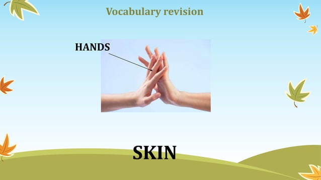 Unit 1.how my body works | PPT