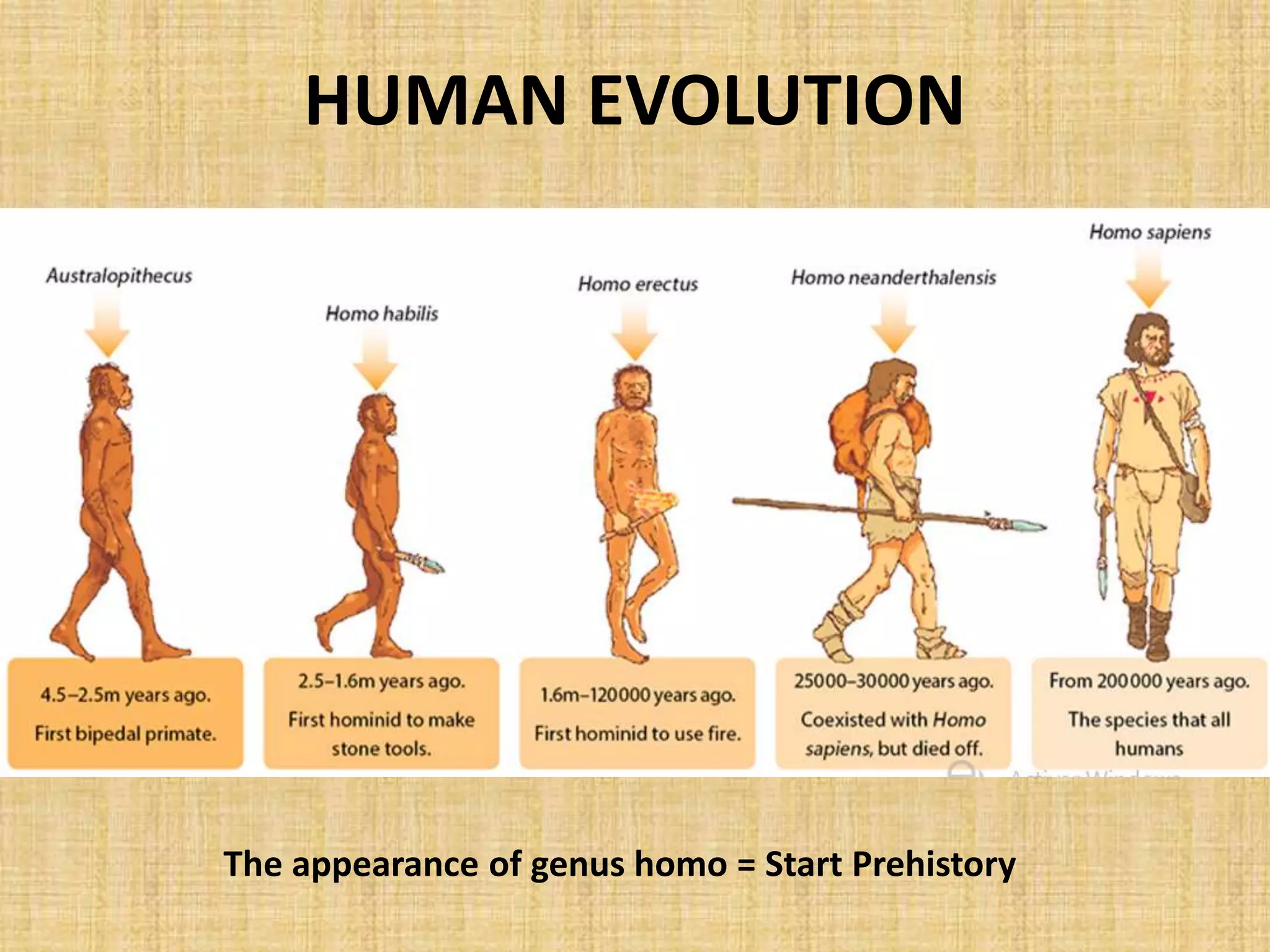 Unit 1. Prehistory | PPTX