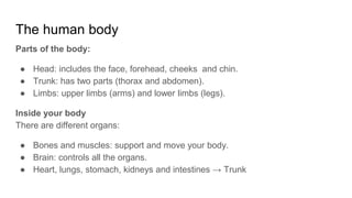 Unit 1. Your body | PPTX