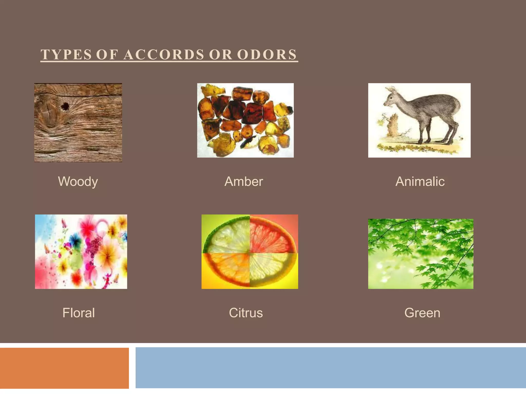 Unit 1- Natural perfumes and uses | PPTX