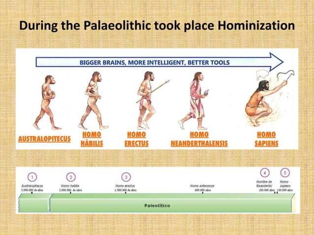 Unit 1. prehistory | PPT