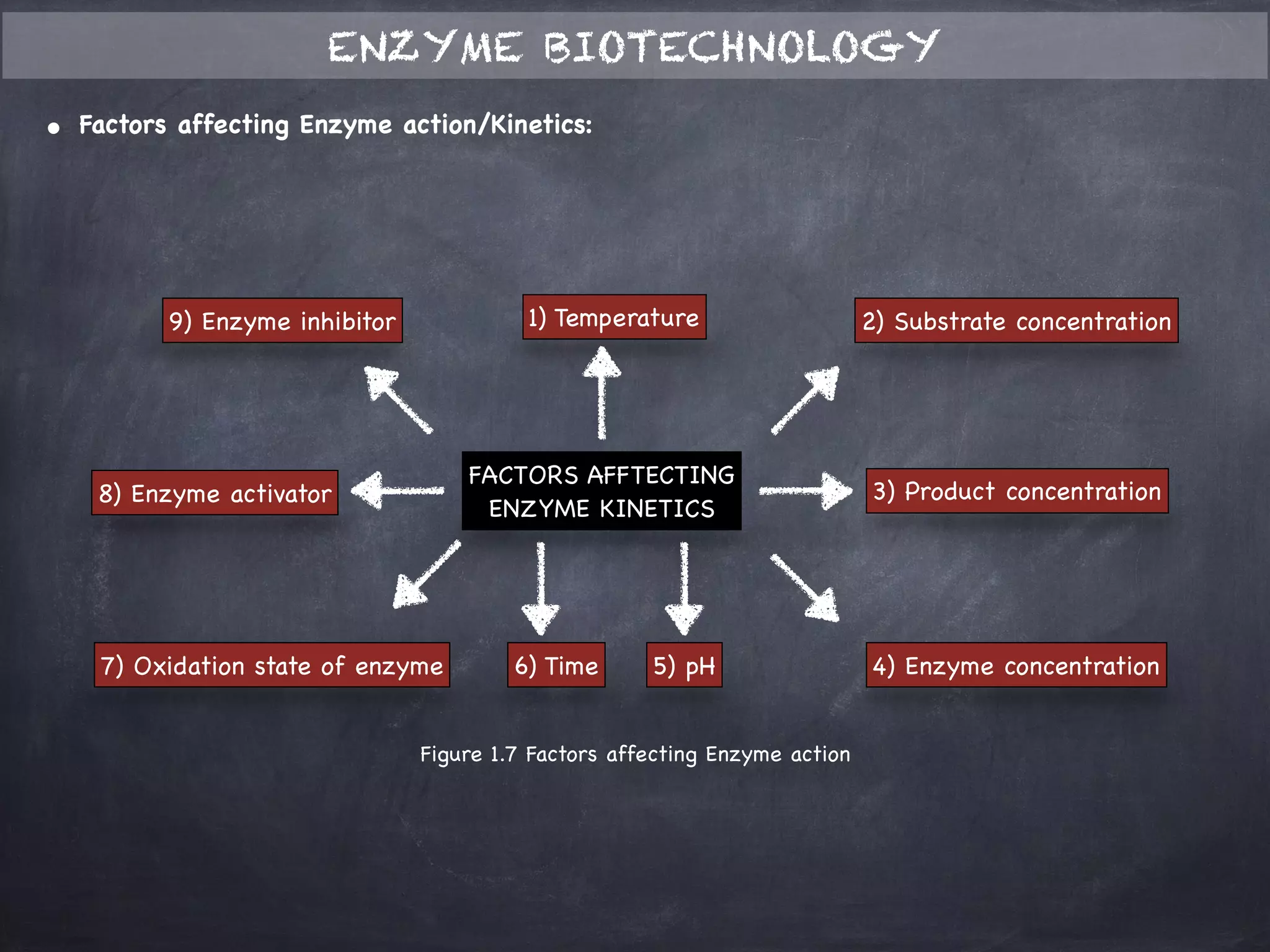 UNIT-1 Introduction to biotechnology and enzyme immobilisation Brief introduction to ...