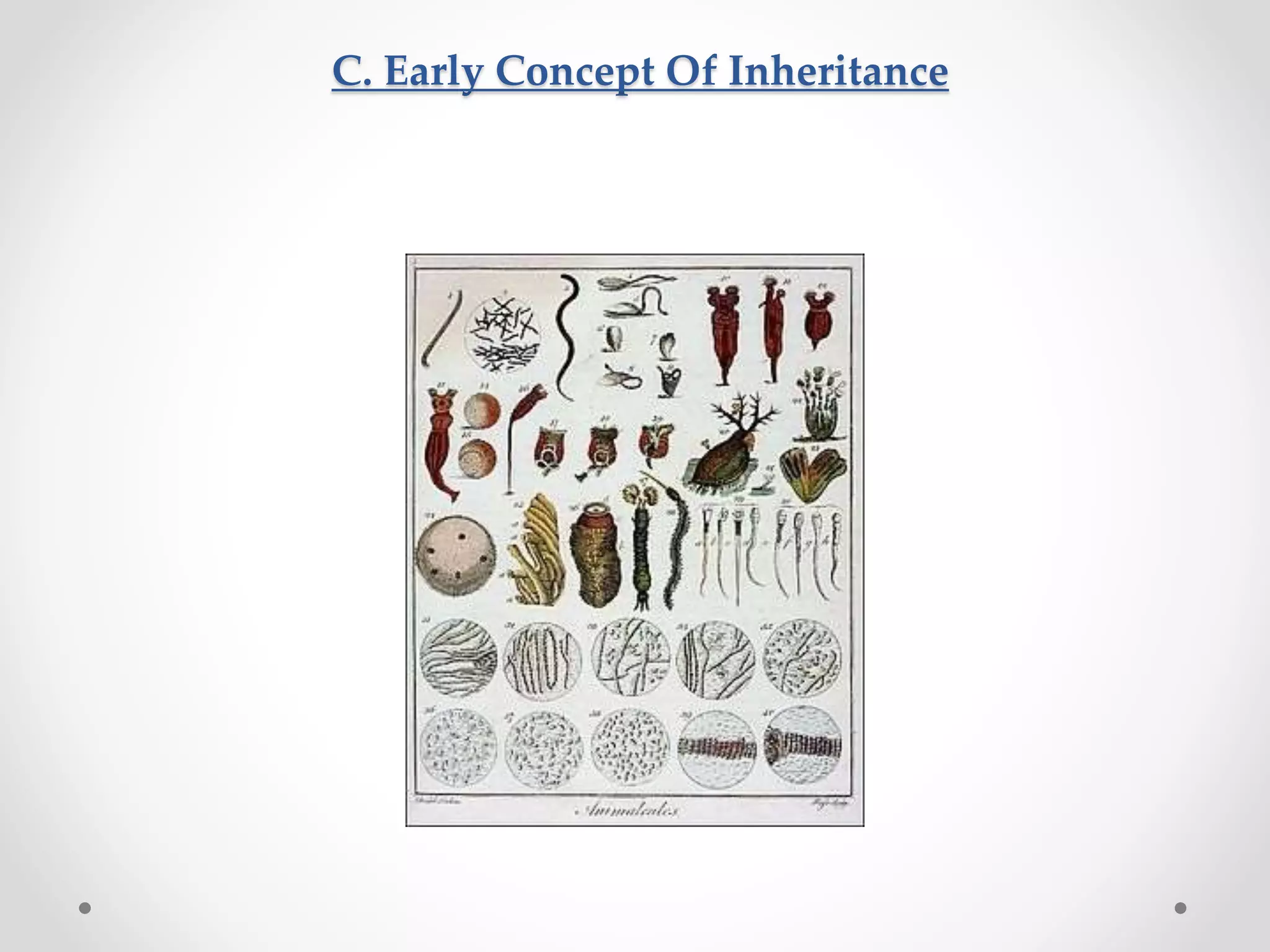 Unit 1.1.a. principle of genetics defintion and history- early concepts ...