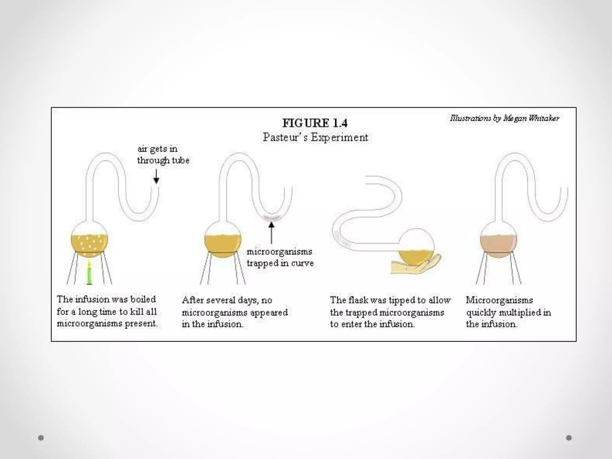 Unit 1.1.a. principle of genetics defintion and history- early concepts ...