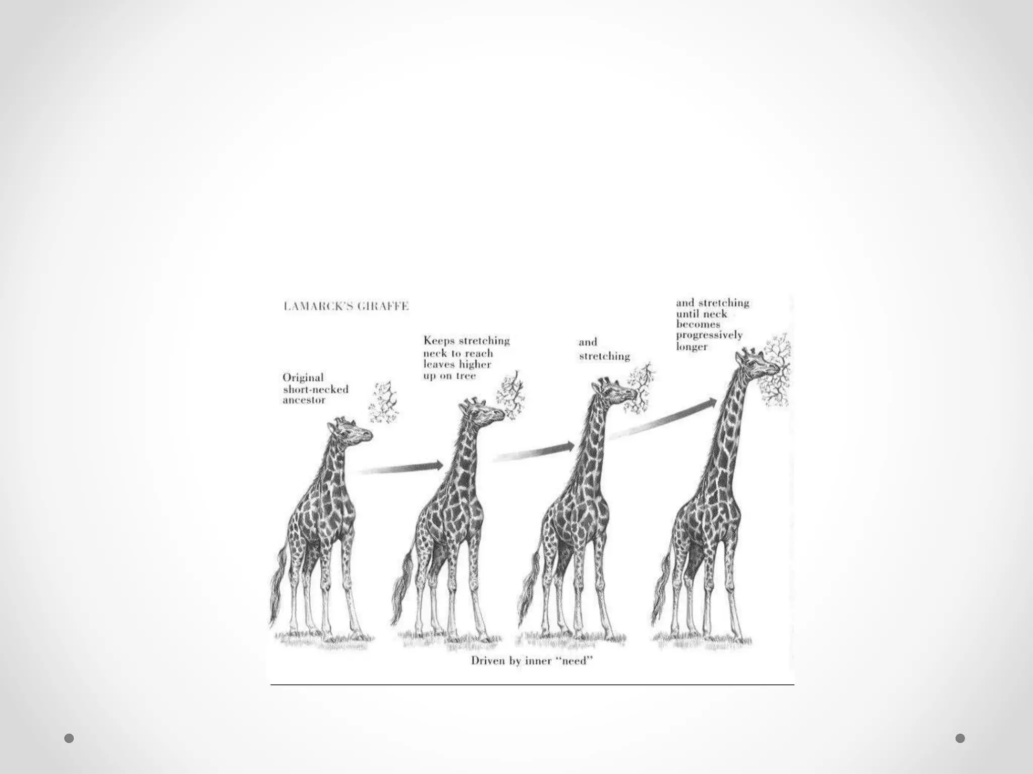 Unit 1.1.a. principle of genetics defintion and history- early concepts ...