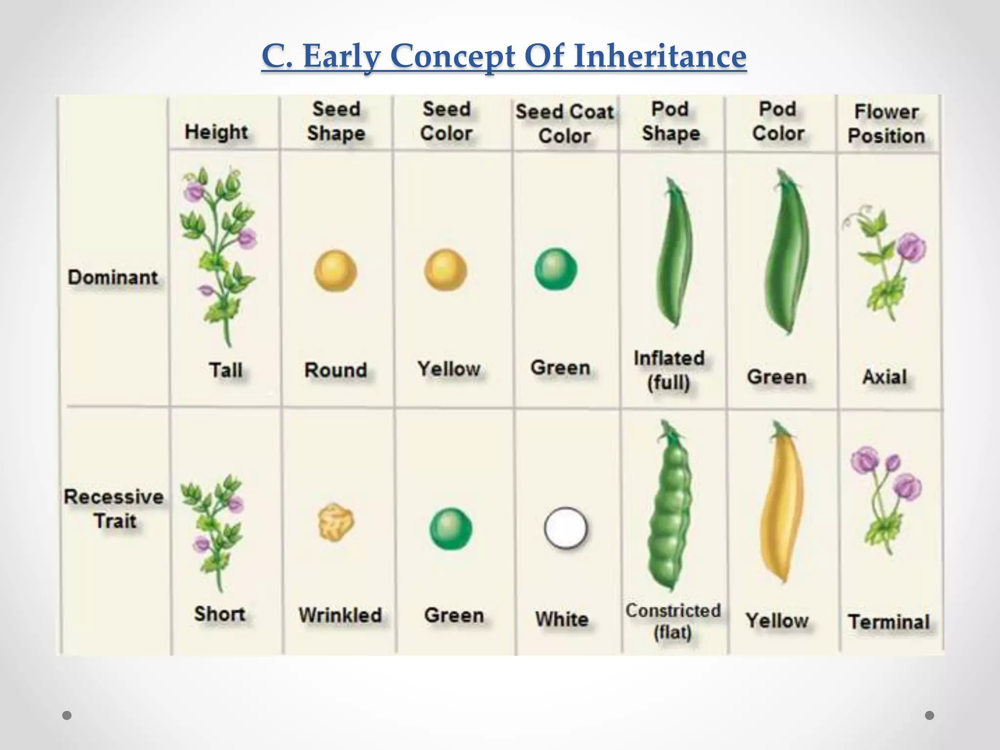 Unit 1.1.a. principle of genetics defintion and history- early concepts ...