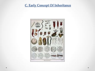 Unit 1.1.a. principle of genetics defintion and history- early concepts ...