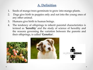 Unit 1.1.a. principle of genetics defintion and history- early concepts ...