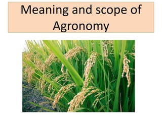 Introduction of Agronomy | PPTX
