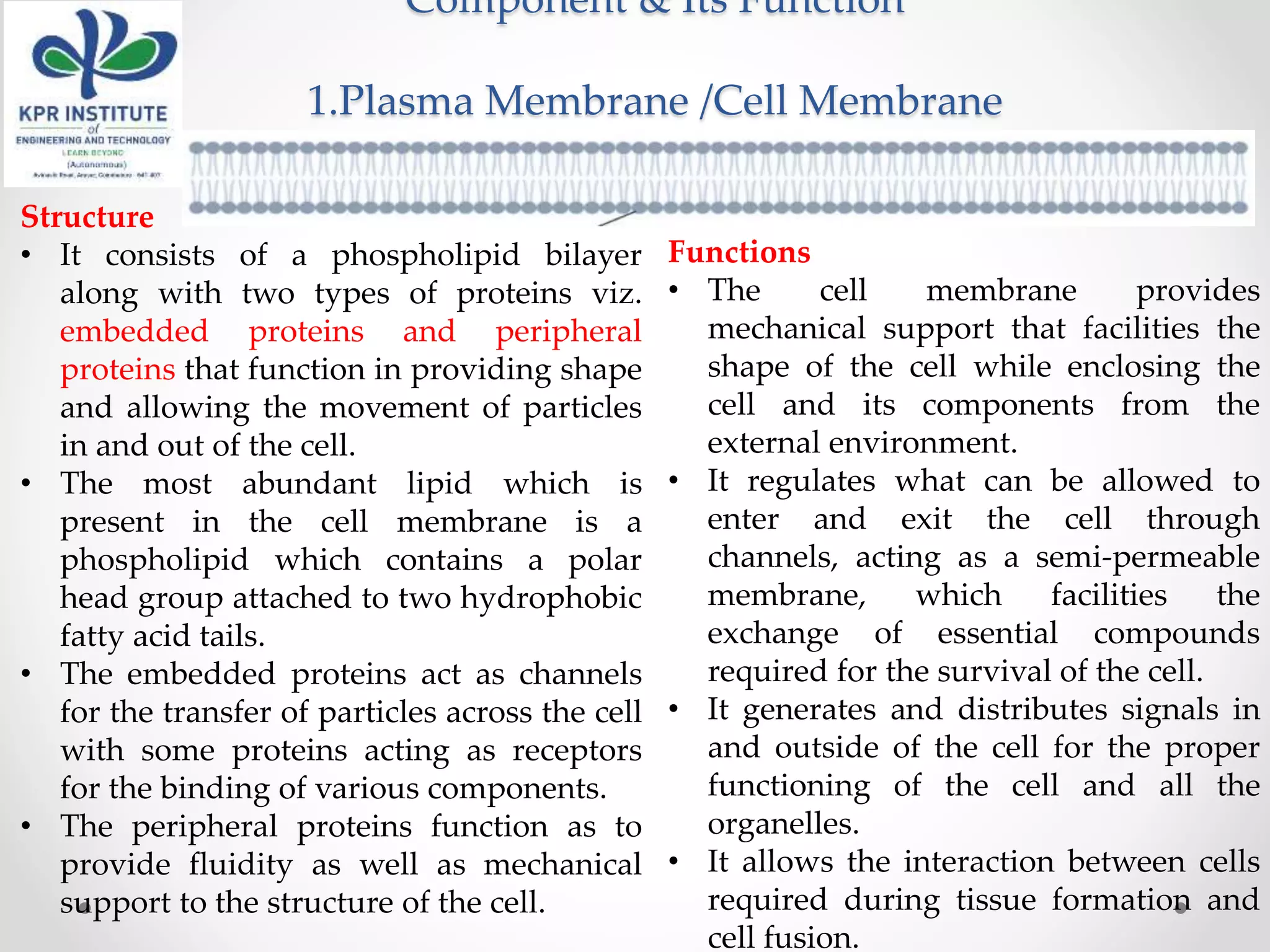Human Anatomy & Physiology _ Lecture Notes _1 | PPTX | Biological ...