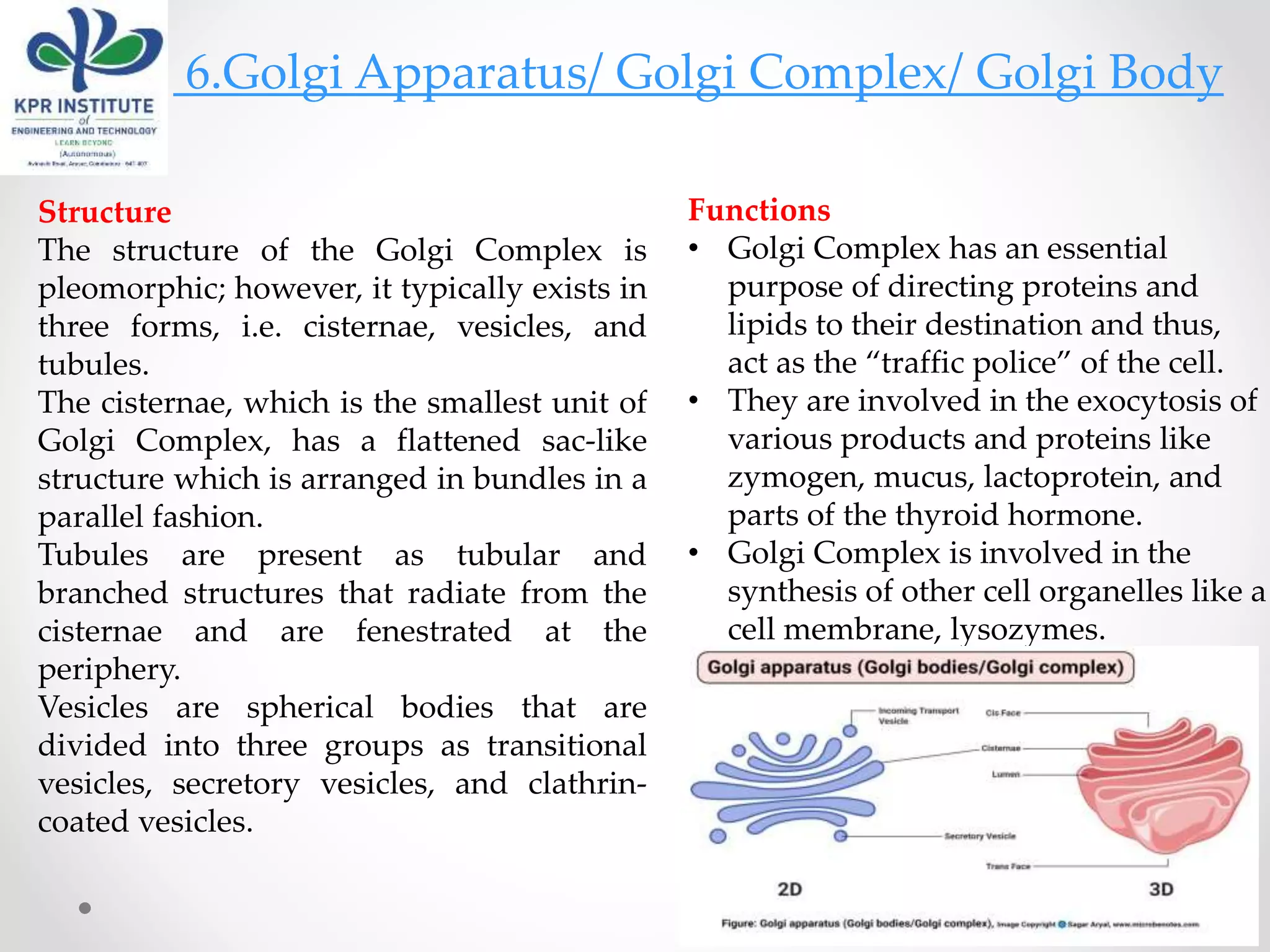 Human Anatomy & Physiology _ Lecture Notes _1 | PPTX
