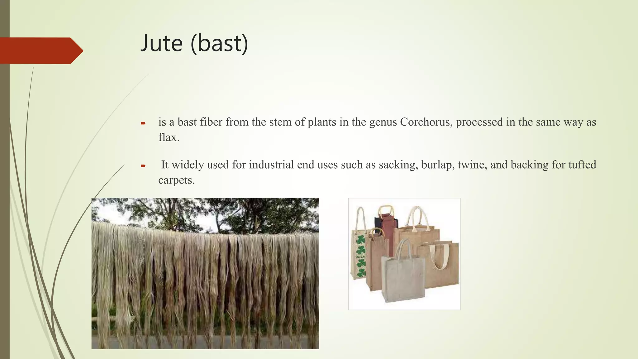 classification of textile fibre | PPTX