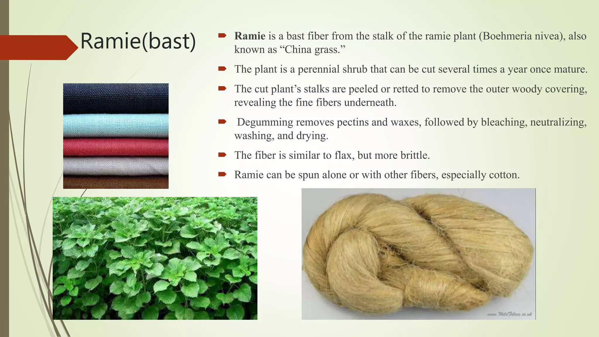 classification of textile fibre | PPTX