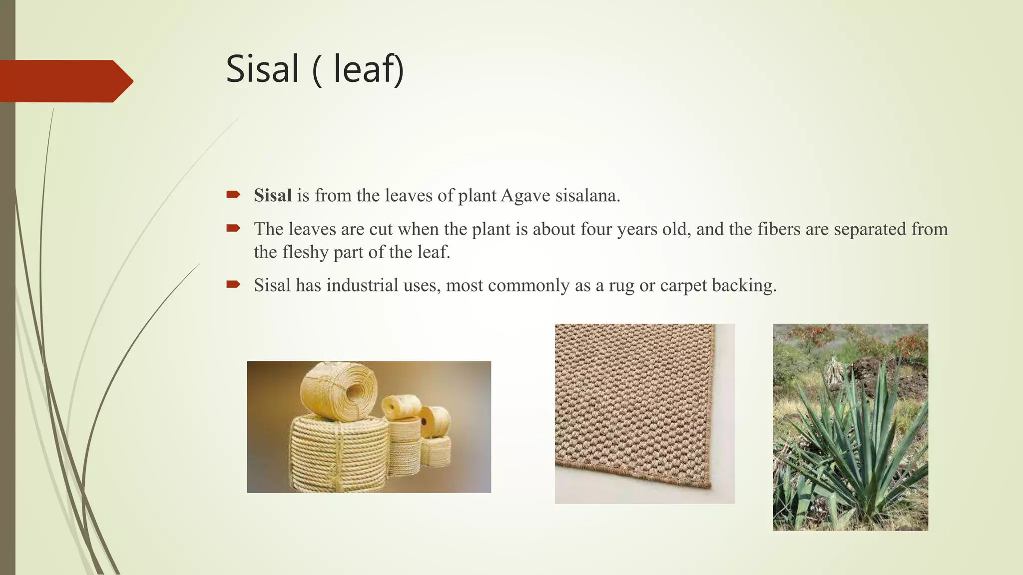 classification of textile fibre | PPTX