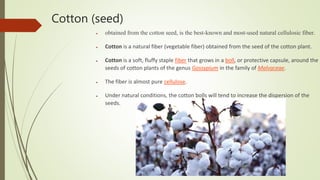 classification of textile fibre | PPTX