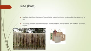 classification of textile fibre | PPTX