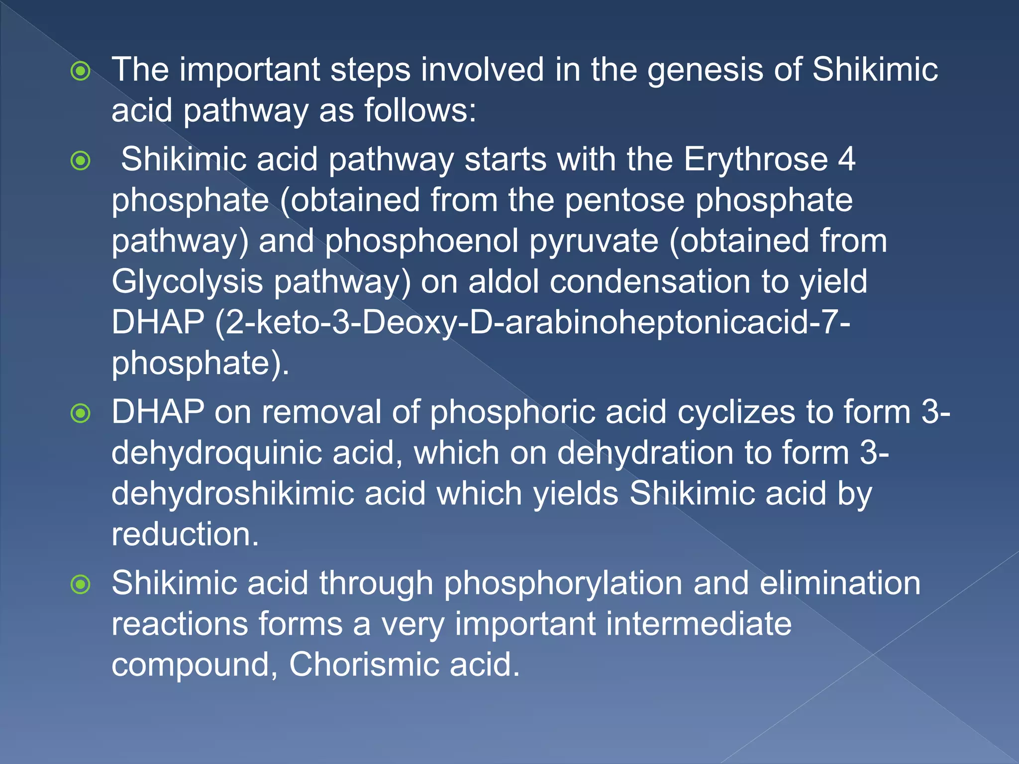 Metabolic Pathways | PPTX