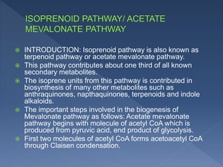 Metabolic Pathways | PPTX