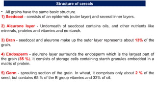 Cereals, pulses and oilseeds technology - Copy.pptx