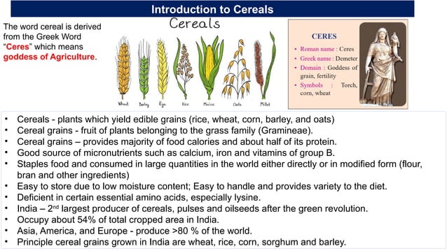 Cereals, pulses and oilseeds technology - Copy.pptx | Nutrition ...