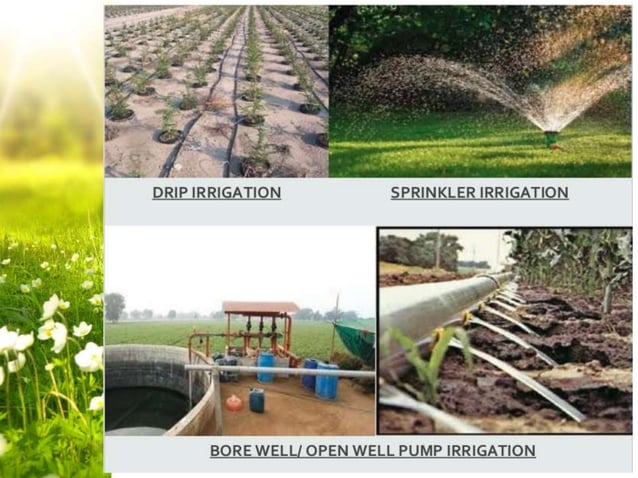 Unit 1 Crop Water Requirement | PPTX