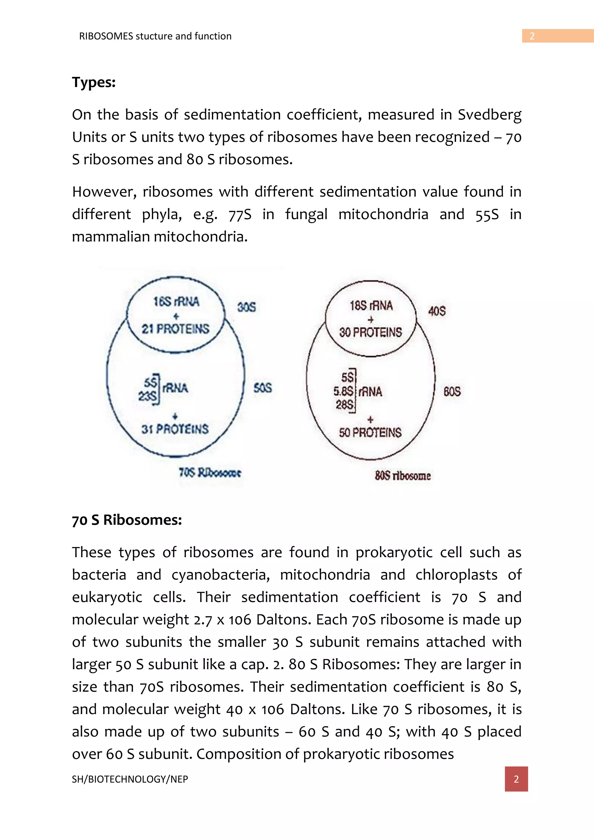 unit 1.Ribosomes.pdf sh.pdf
