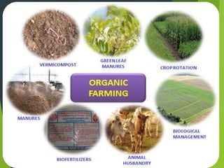 UNIT 1. BIODYNAMIC AGRICULTURE.pptx