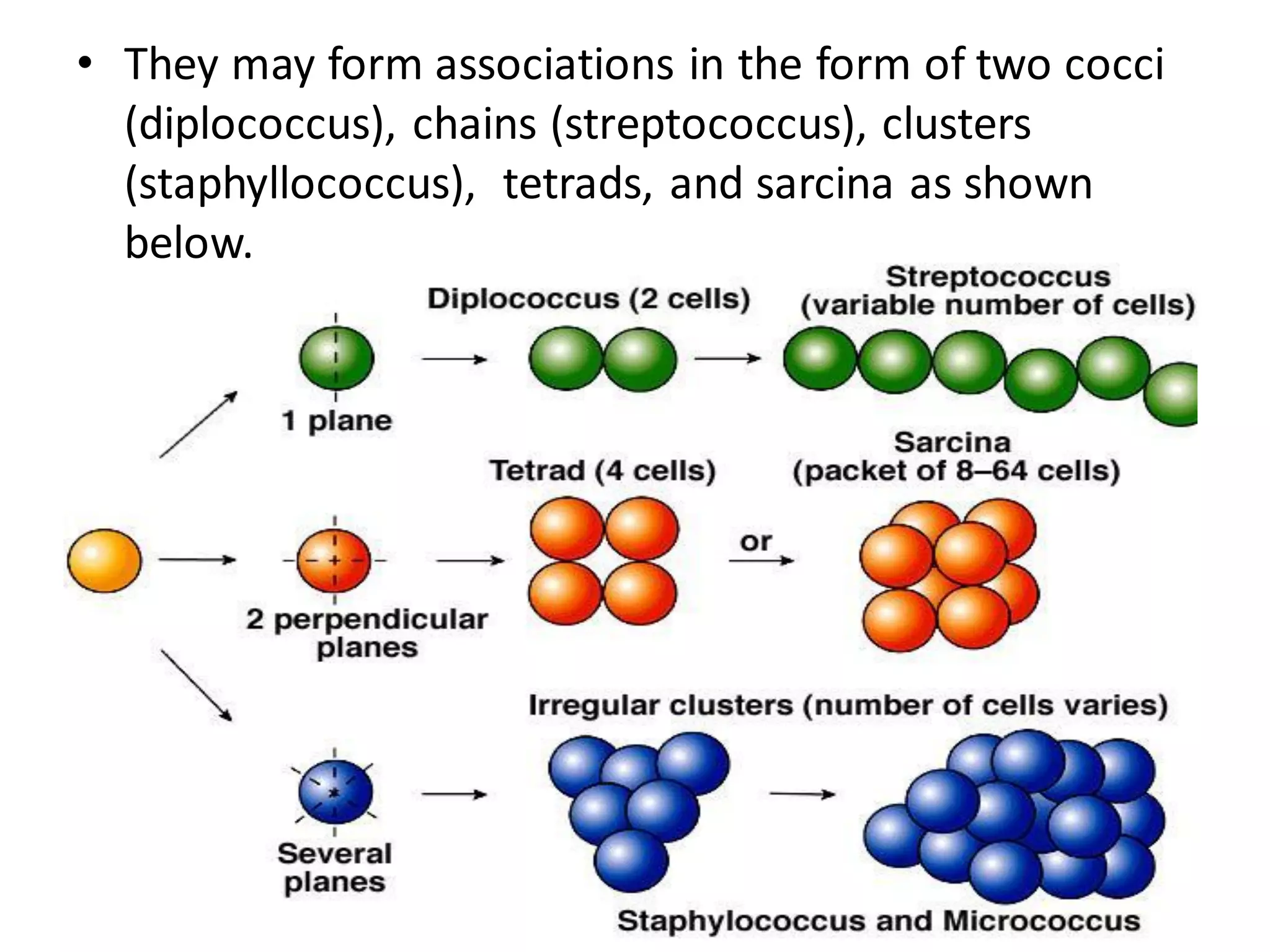 Unit1. Introduction to Microbiology. Microbiology.pdf