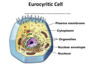 Unit1. Introduction to Microbiology. Microbiology.pdf