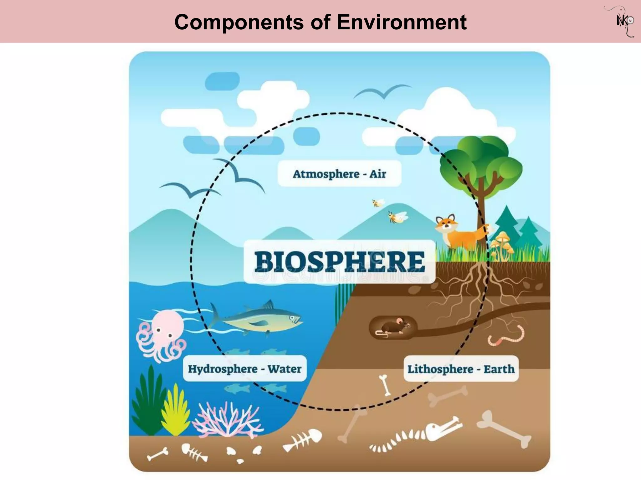 Unit 1. Introduction to environmental studies.pdf