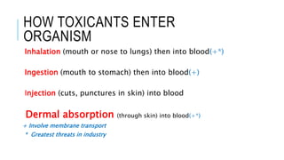 Pharmacology in Cosmetic Technology | PPTX