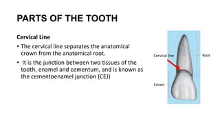Unit 1.pdf