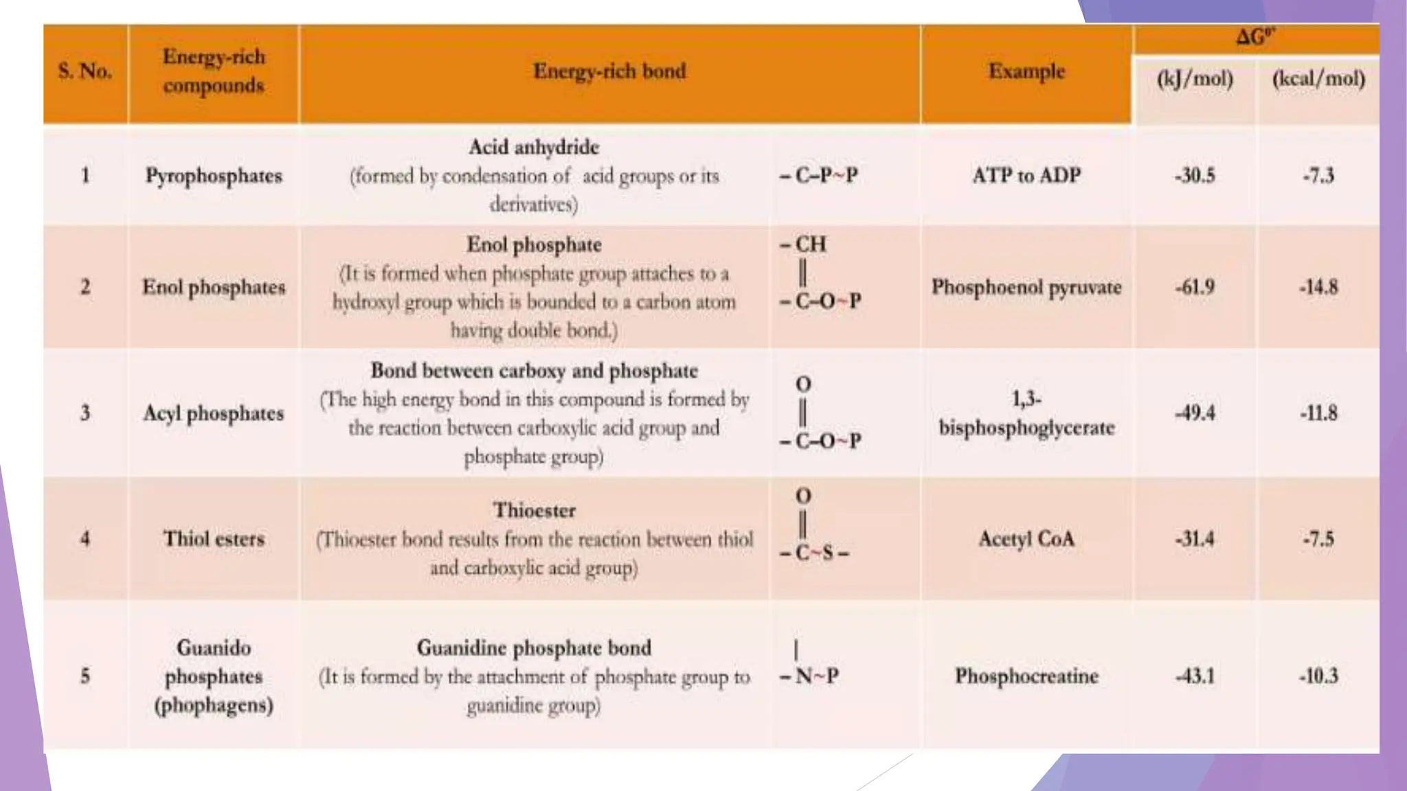 UNIT1.2 bioenergetic in introduction of biochemistry | PPTX