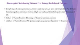 UNIT1.2 bioenergetic in introduction of biochemistry | PPTX