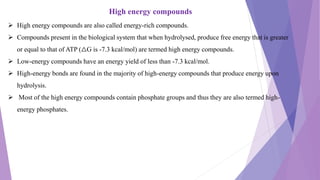 UNIT1.2 bioenergetic in introduction of biochemistry | PPTX