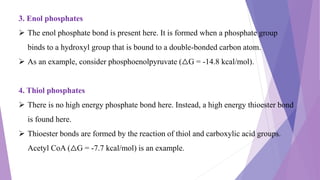 UNIT1.2 bioenergetic in introduction of biochemistry | PPTX