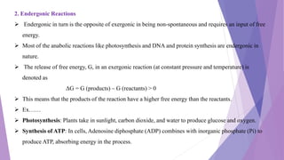 UNIT1.2 bioenergetic in introduction of biochemistry | PPTX