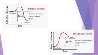 UNIT1.2 bioenergetic in introduction of biochemistry | PPTX