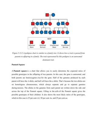 (Human Genetics and their disorders) UNIT 1.docx