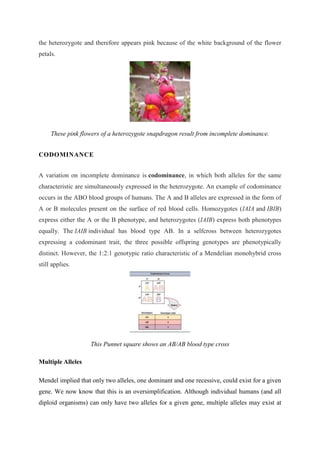 (Human Genetics and their disorders) UNIT 1.docx