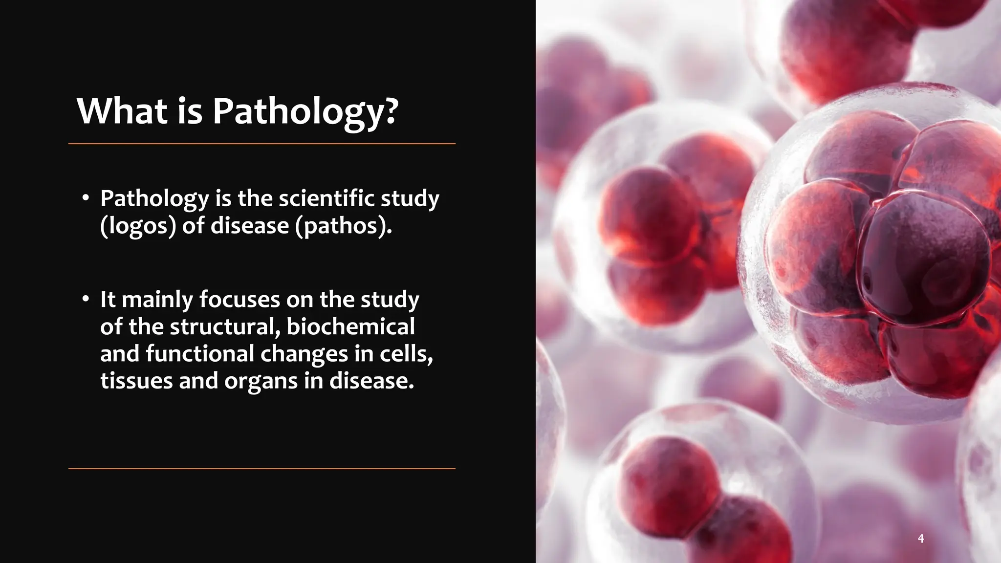 Pathology slides on overview of pathology and cell injury | PPT