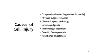Pathology slides on overview of pathology and cell injury | PDF