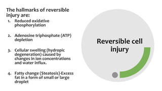 Pathology slides on overview of pathology and cell injury | PDF