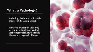Pathology slides on overview of pathology and cell injury | PDF