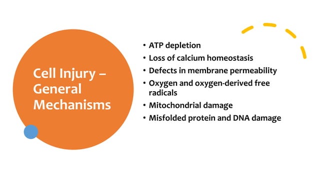 Pathology slides on overview of pathology and cell injury | PPT