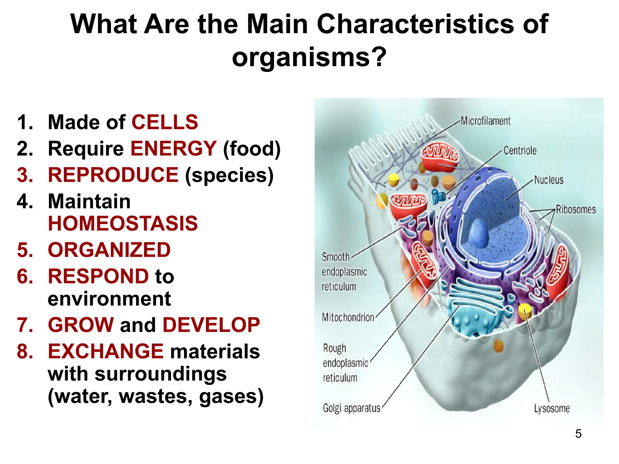 Introduction to biology and basic structure and organnels.pptx | Free ...