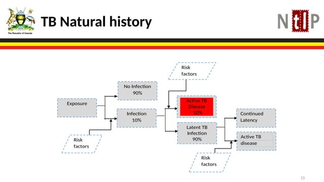 UNIT 1.2 TB BASIC FACTS AND CLASSIFICATION.pptx
