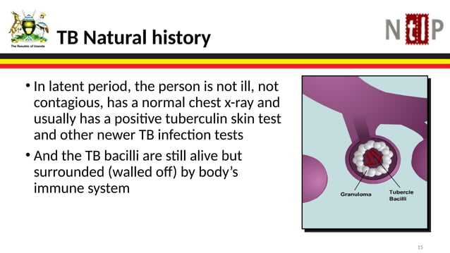 UNIT 1.2 TB BASIC FACTS AND CLASSIFICATION.pptx