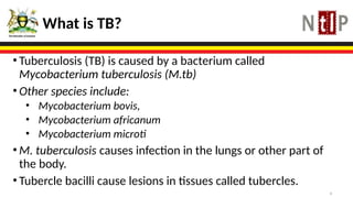 UNIT 1.2 TB BASIC FACTS AND CLASSIFICATION.pptx