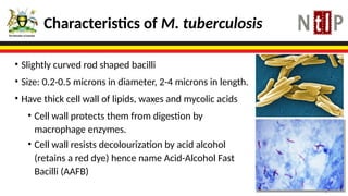 UNIT 1.2 TB BASIC FACTS AND CLASSIFICATION.pptx